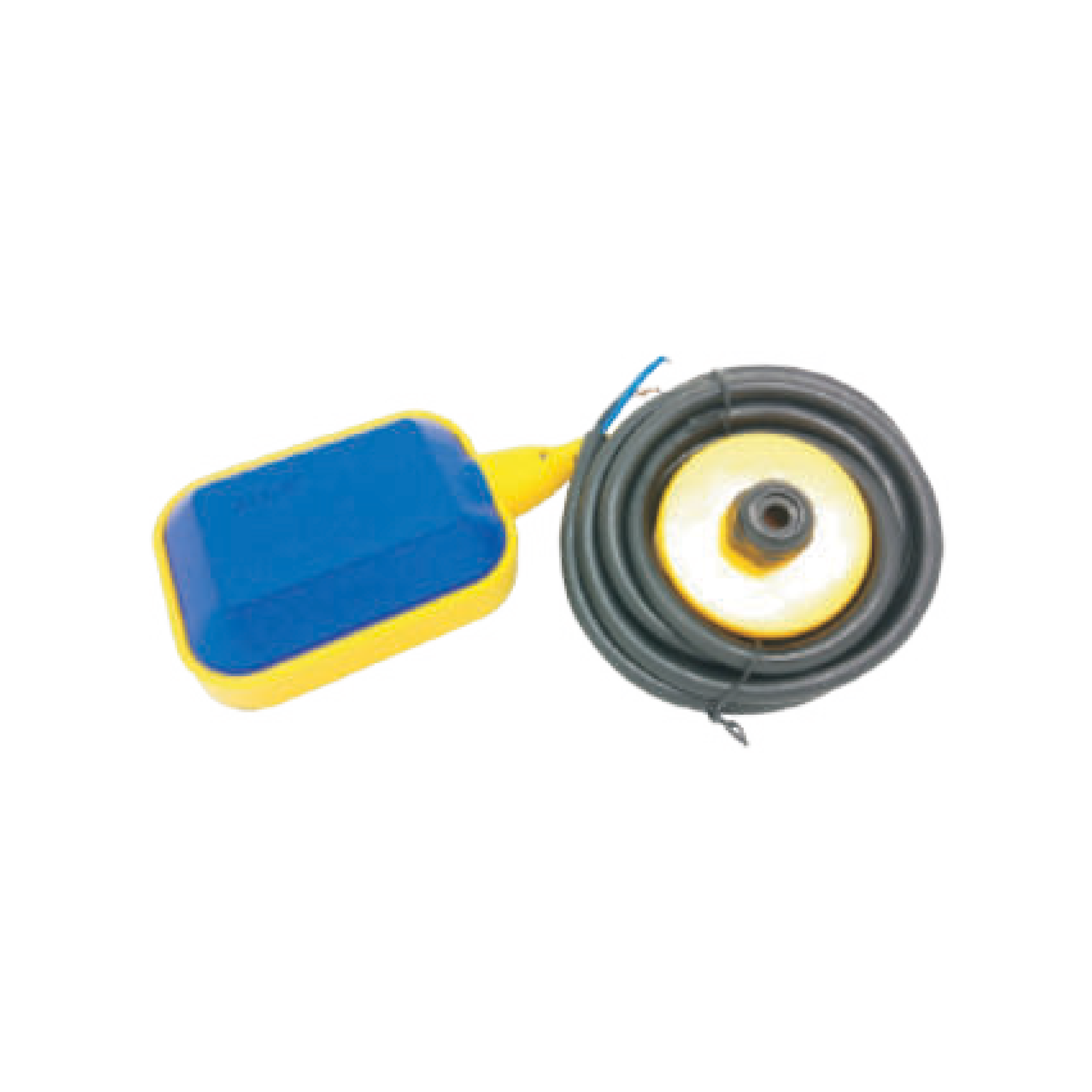 Chintan Corporation - FLOAT SWITCH